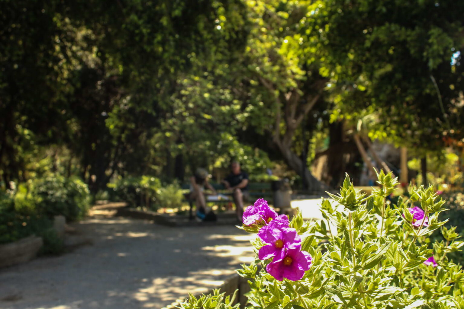 Georgiadis Park – Visit Heraklion